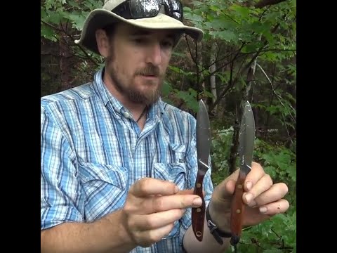 One Wildcrafter Stops by to talk Homesteading and such - YouTube