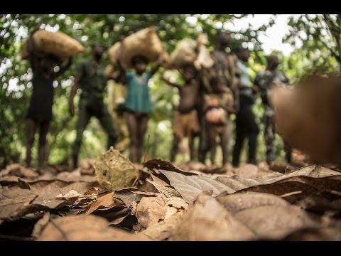 INTERPOL OPERATION NAWA, FIGHTING CHILD LABOUR AND TRAFFICKING
