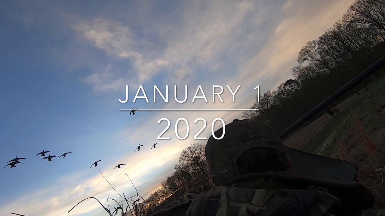 Alabama Goose Hunt | 3 man limit - YouTube