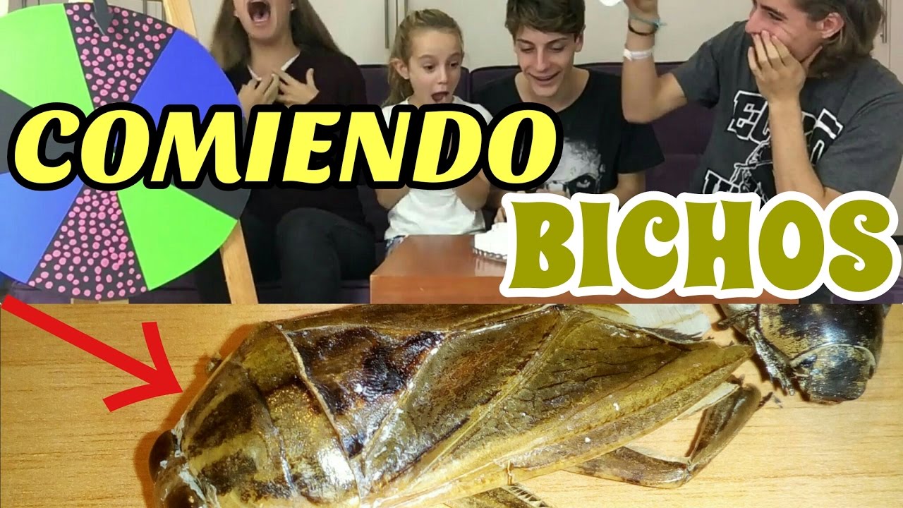 Comiendo BICHOS con Aitana & Compañia!! || Trillizos0201 (INSECTOS ...