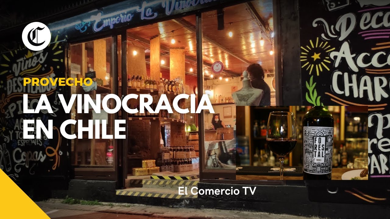 La Vinocracia, el bar con una carta que resalta los vinos hechos por ...