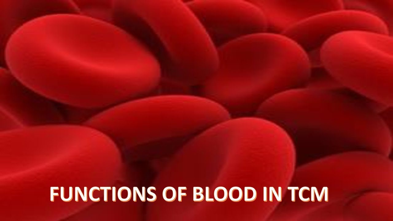 FUNCTIONS OF BLOOD IN TCM - YouTube