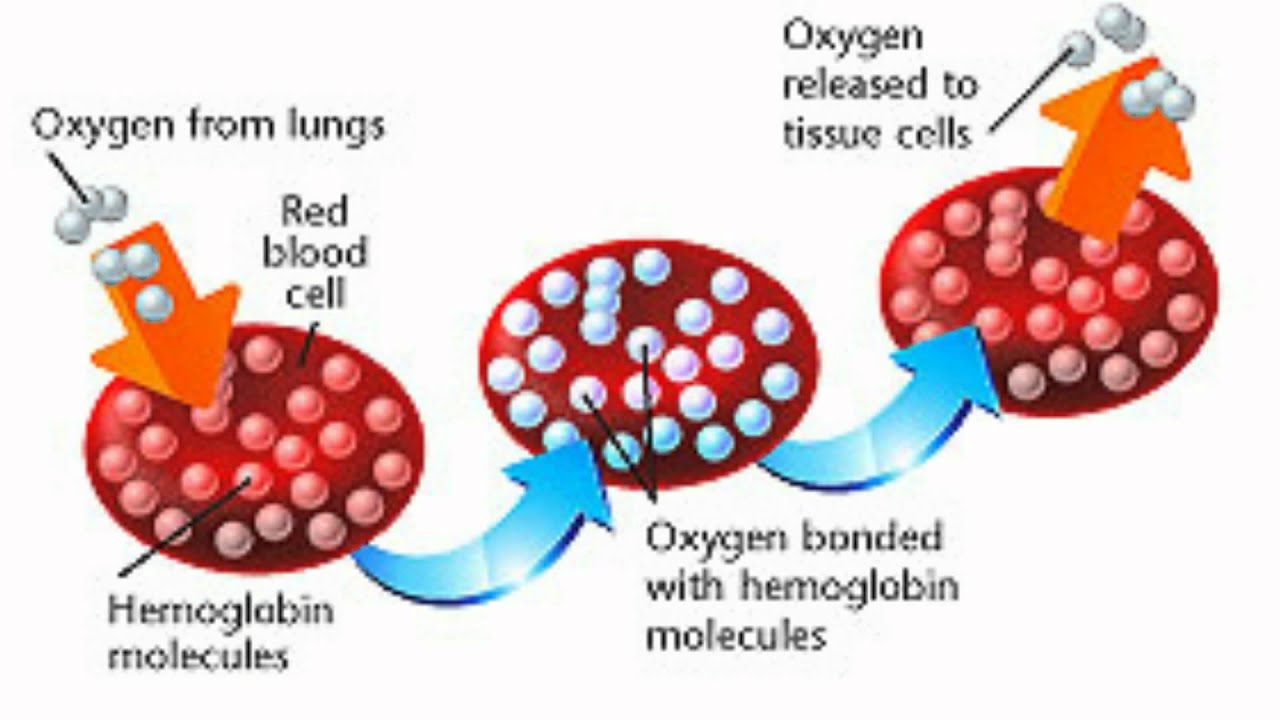 Smoking Awareness Video - YouTube