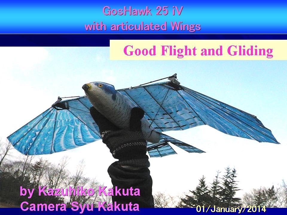 GosHawk25iV with articulated wing : Good Flight and Good Gliding - YouTube