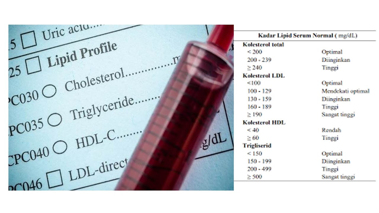 Belajar Interpretasi data klinik pemeriksaan kolesterol (LDL,HDL ...