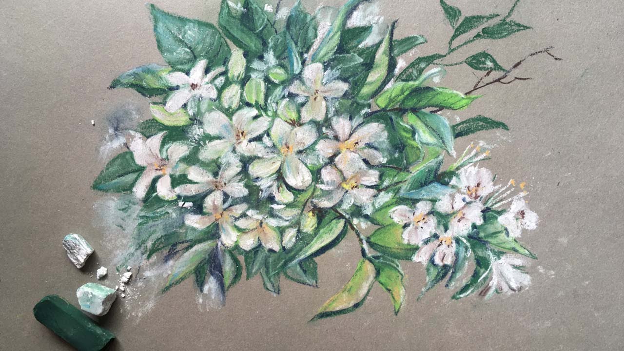Flowers Drawing in Soft Pastels | Soft Pastel Drawing | Flowers Drawing ...