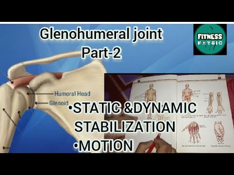 SHOULDER COMPLEX-MOBILITY, STATIC & DYNAMIC STABILIZATION || GH JOINT ...