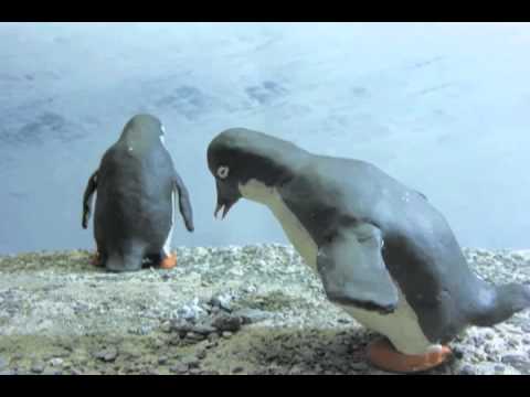 Frozen Planet: Criminal Penguins claymation - YouTube