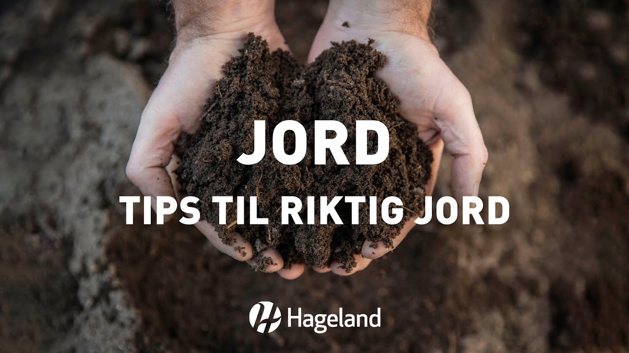 Jord - tips til riktig jord - YouTube