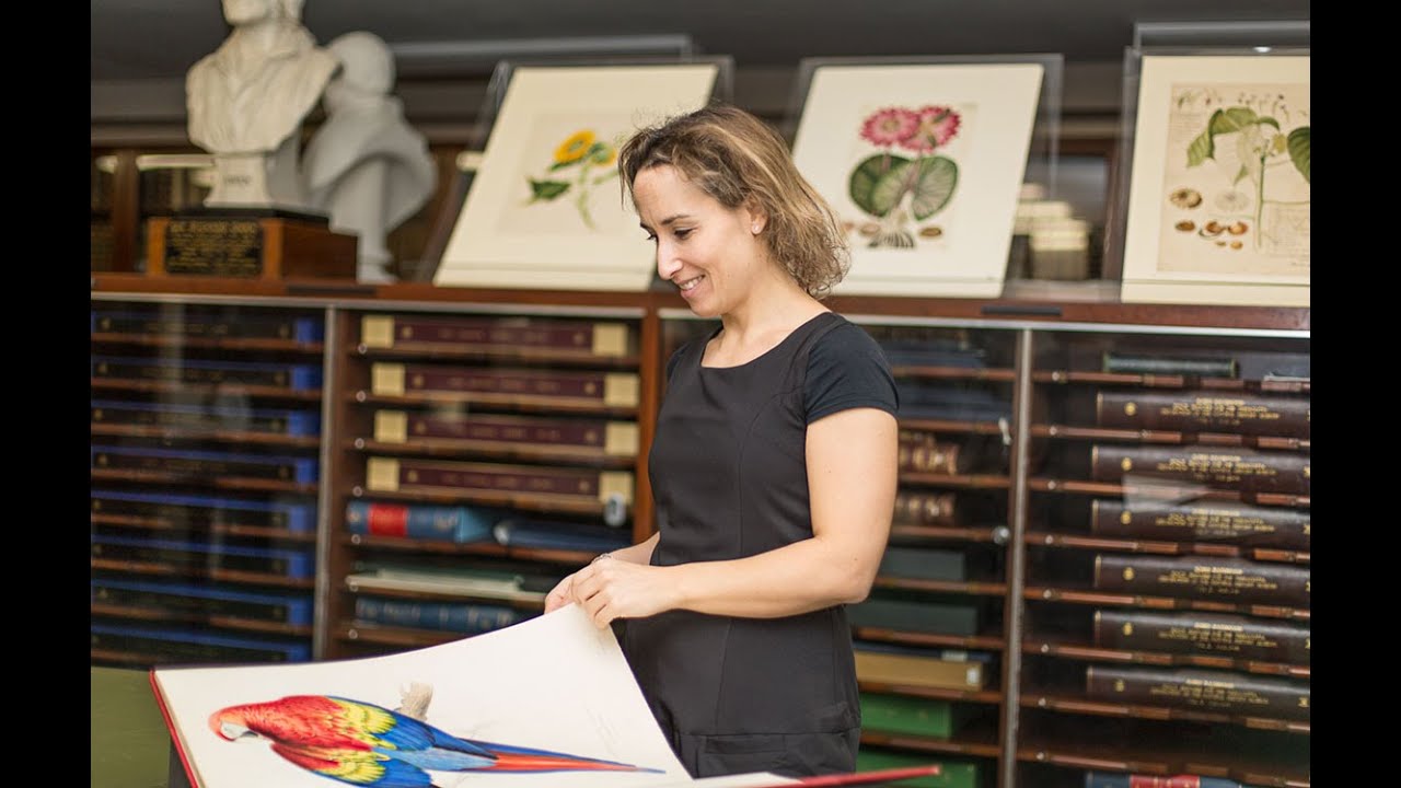 Rare Treasures book - audio slideshow | Natural History Museum - YouTube