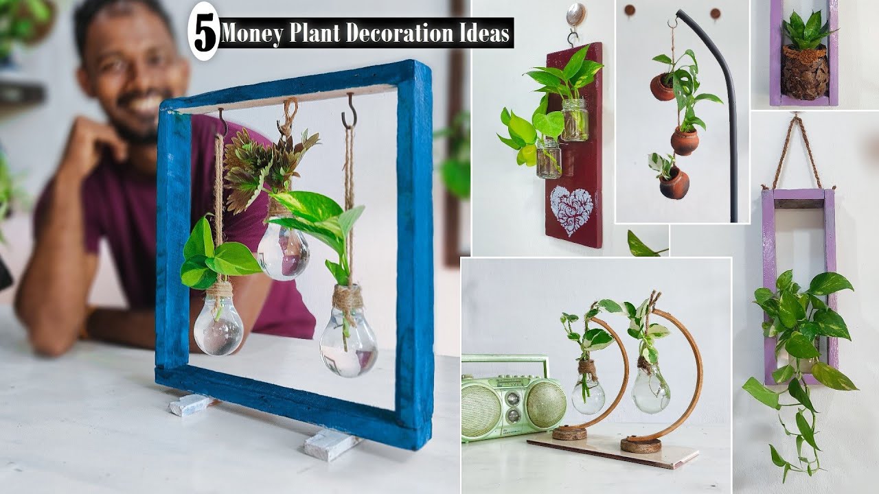 5 Money Plant Wall Hanging & Indoor Decoration Ideas | Money Plant ...
