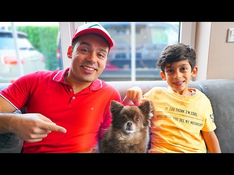The Pet Song! Fun Music for kids with Jason