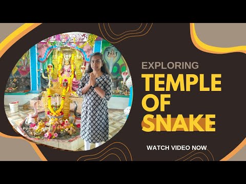 Nagadevatha Temple in Samisragudem, Nidadavole 🙏 ,First video in my ...