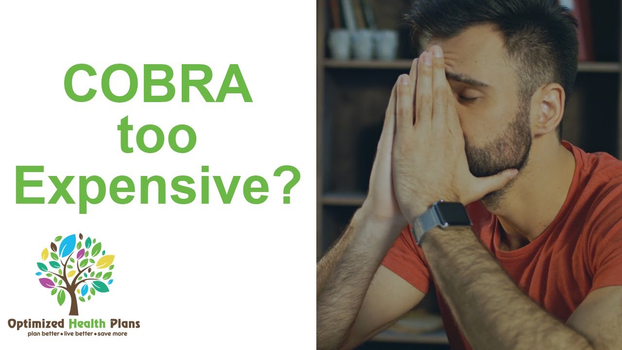 COBRA Insurance Too Expensive? | Health Insurance Job Loss | Optimized ...