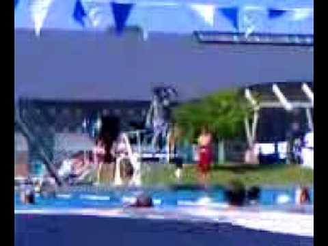 Moose Diving - YouTube