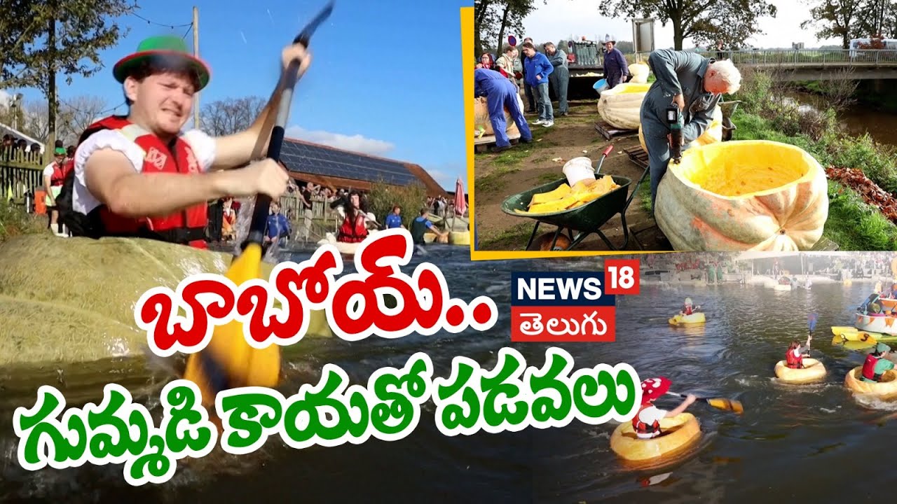 Giant Pumpkin Race in Belgium: Boat racing with pumpkins | Giant ...