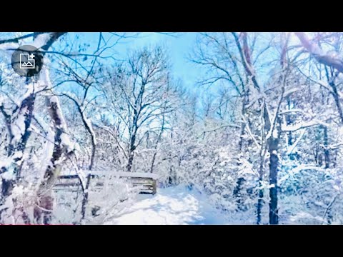 Breathtaking Winter Walk: Kansas Parks Covered in Snow –A Serene Escape ...