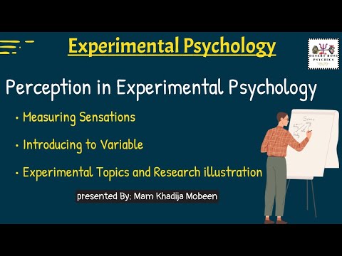 What is Perception in Psychology? - Perception in Experimental ...