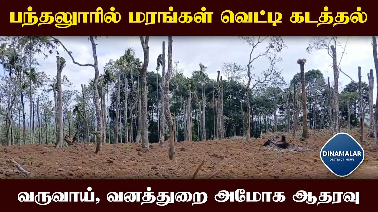 மரக் கடத்தல் மாபியா கும்பல் தொடர் அட்டகாசம் Felling of Trees Official ...