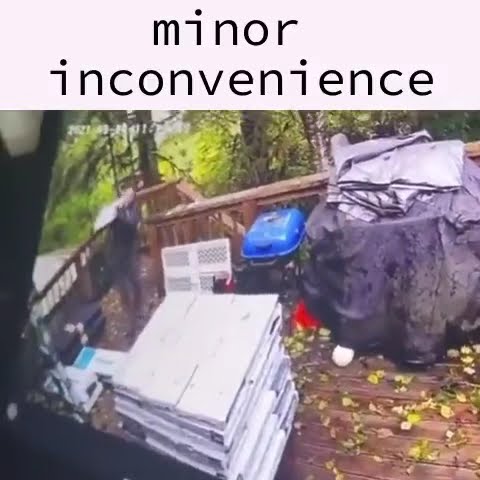 minor inconvenience - YouTube