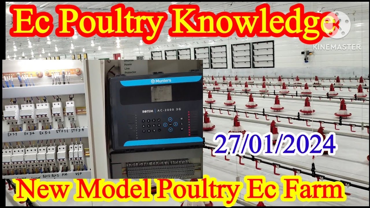Ec Poultry Farm | Ec Poultry Knowledge | Ec Poultry Form Knowledge ...