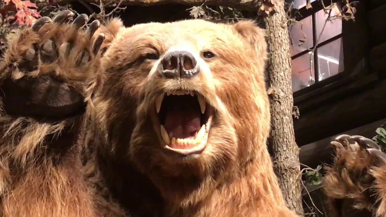 The Original Bass Pro Shops (Outdoor World) - YouTube