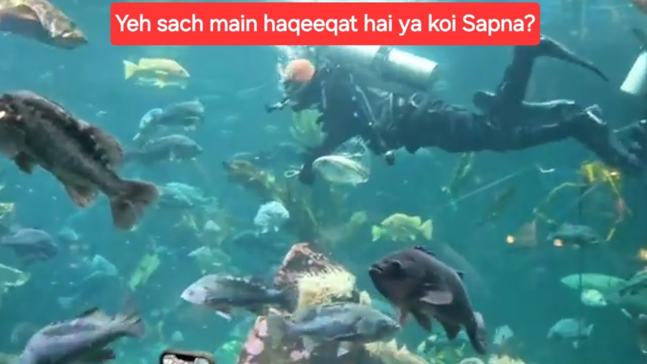 Duniya ka sab se Bada Fish Aquarium Vancouver Part 2 - YouTube