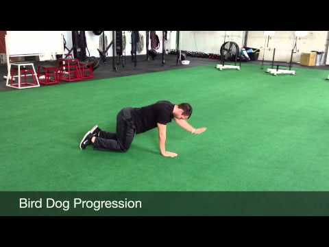 Bird Dog Progression - YouTube