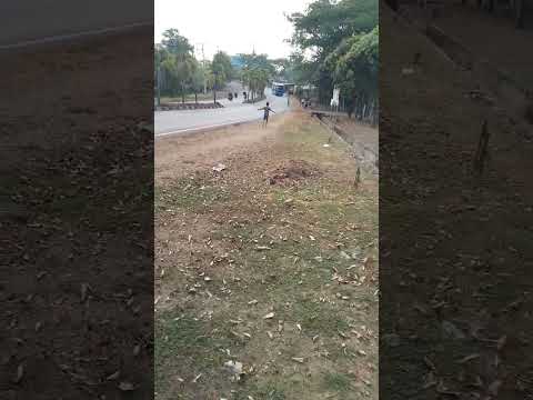 azilfa kuda lumping blue pink #viral#fyp#basuri - YouTube