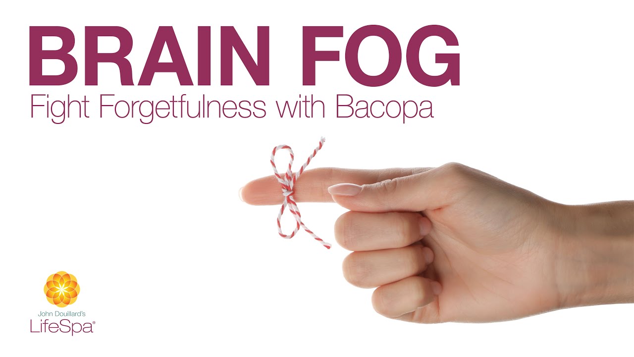 Ayurveda and Brain Fog: Fight Forgetfulness and Fogginess with Bacopa ...