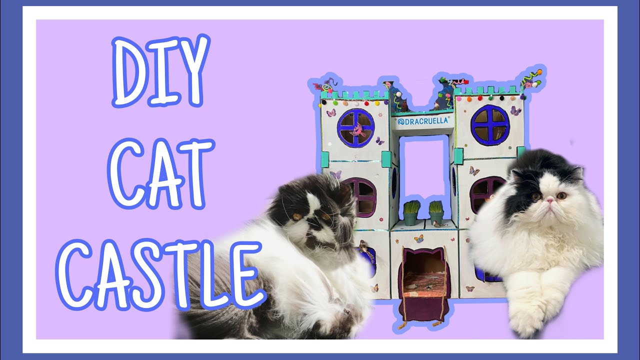 DIY Cat Castle/Fort made out of Cardboard boxes - YouTube