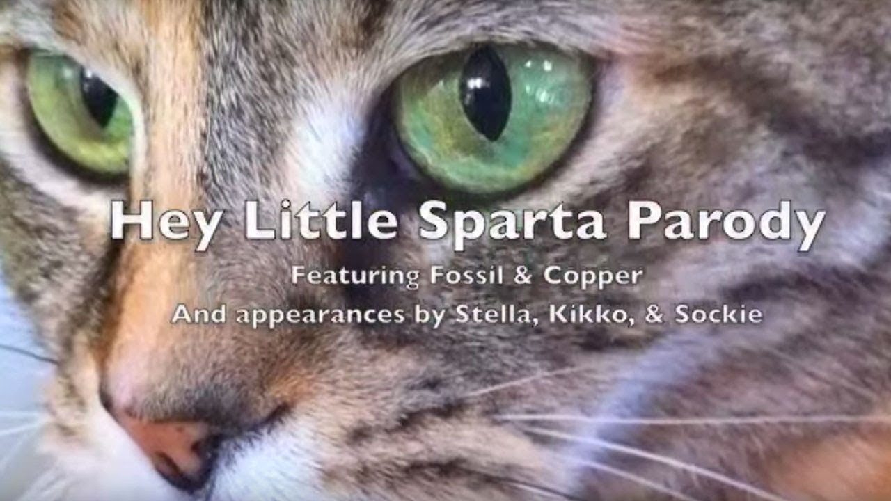 Hey Little Sparta Parody - YouTube