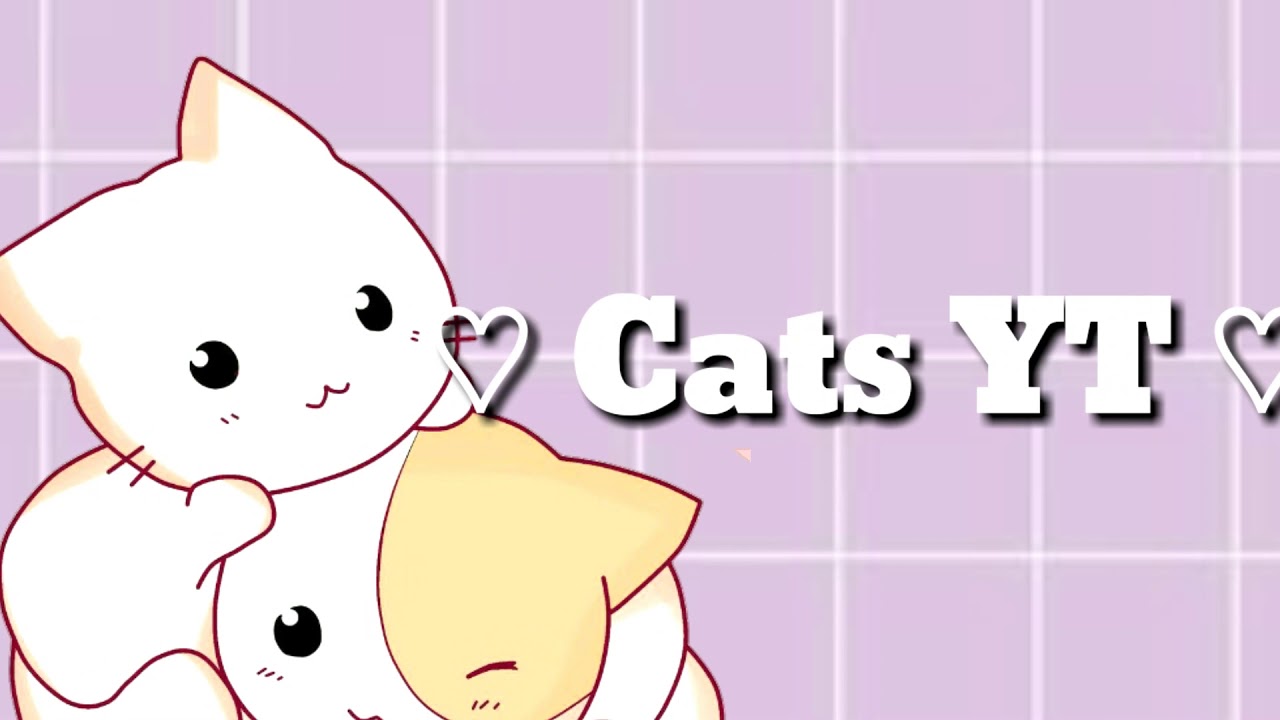 Una intro para ♡ Cats YT ♡ - YouTube