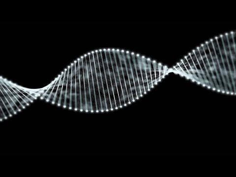 Racialized Foundations in Science, Medicine, and Law | After Dark Online