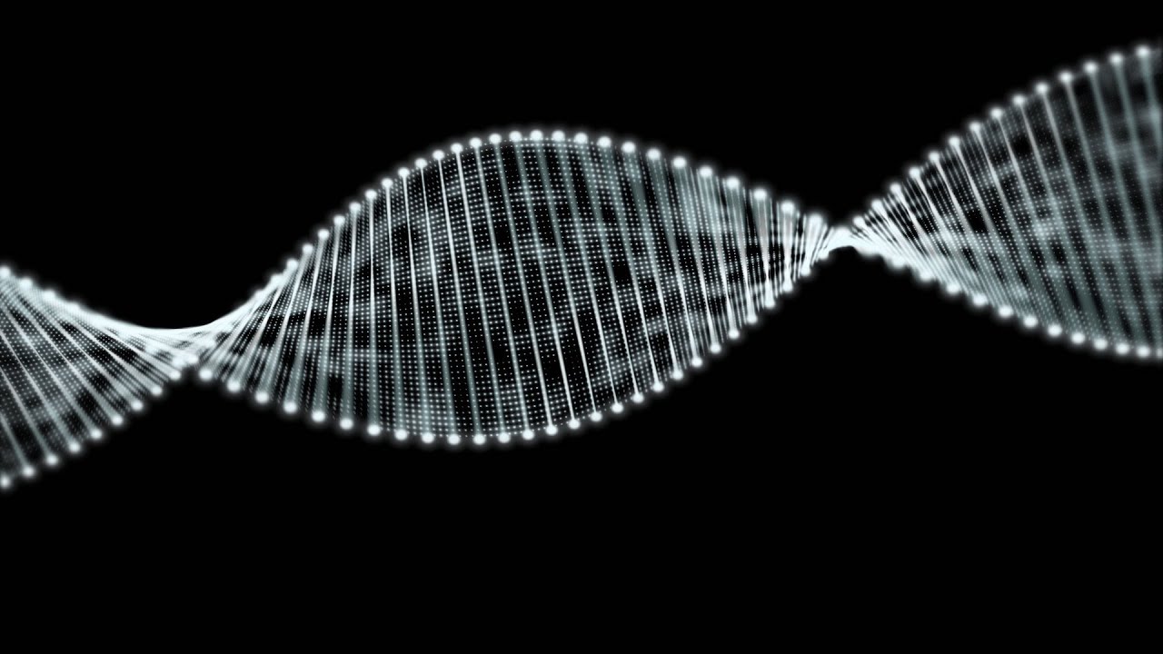 Racialized Foundations in Science, Medicine, and Law | After Dark ...