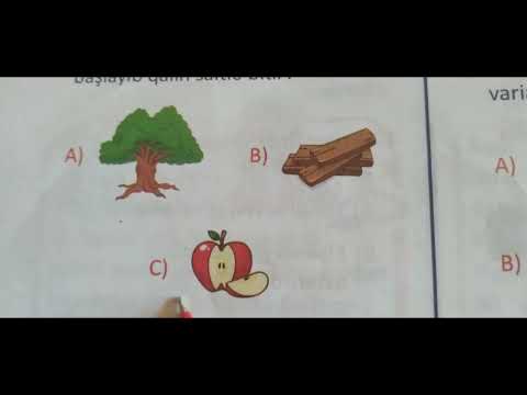 2-ci sinif test nömrə-14 səh.31-32 Azərbaycan dili fənni.Çinar yayımları Yarpaq testi