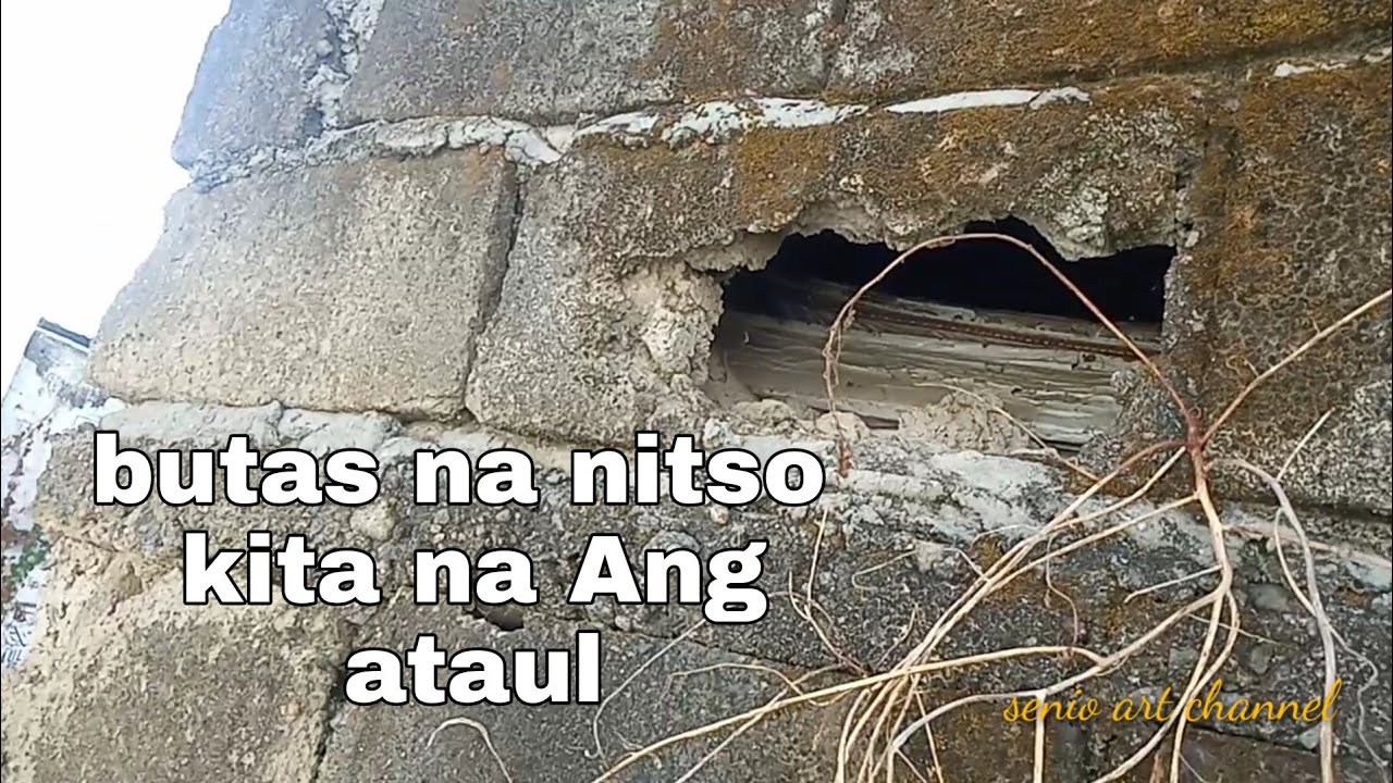 Malaking butas Ng nitso kita na buto sa loob/senio art channel - YouTube