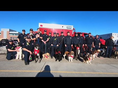 7's HERO: Go Team Therapy dogs visit Caldwell firefighters - YouTube