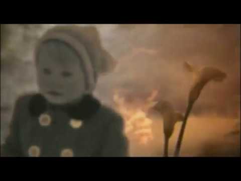 Fred Frith and Hardy Fox - Song of the Crow - YouTube