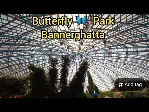 Butterfly Park and Butterfly Museum Bannerghatta National Park ...