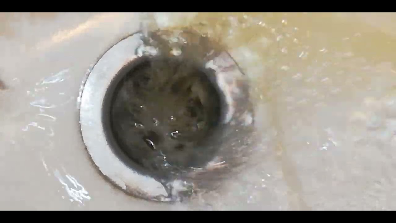 Loserologist: Conservative loser Helen Hurford dodges the press after ...