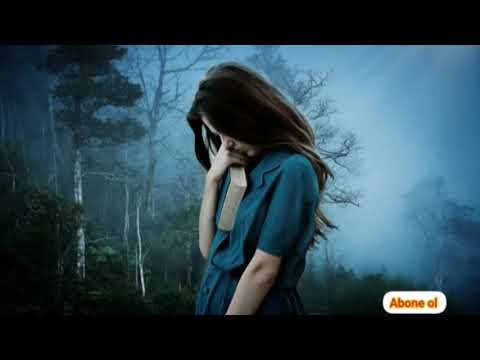 Agabey Yasar birdenem