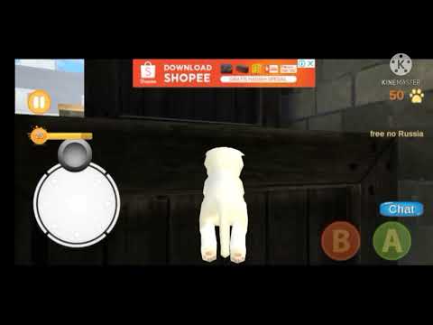 top of hide a secret in Kitten cat simulator