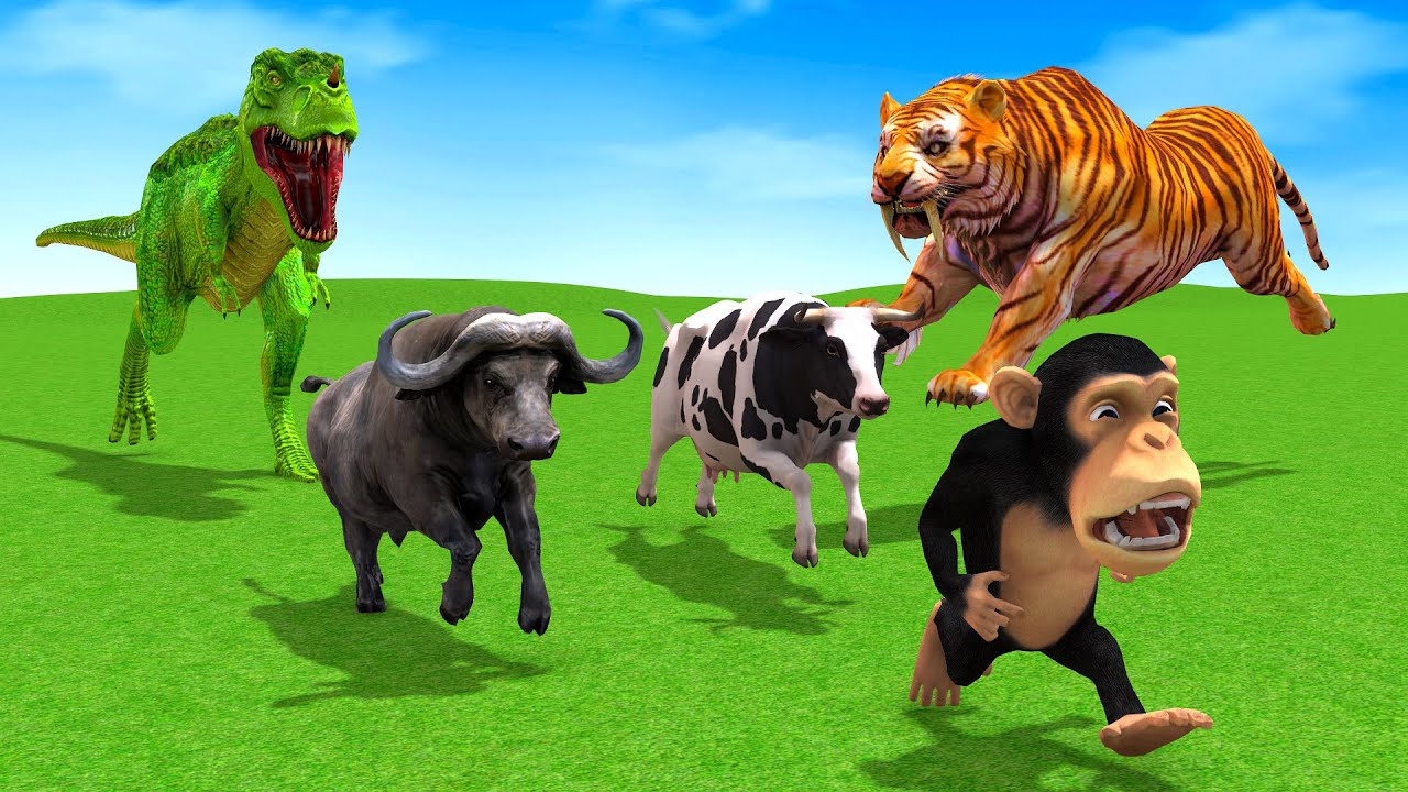 Cow Cartoon, Buffalo Run Away From Giant Tiger, Dinosaur | Animals ...