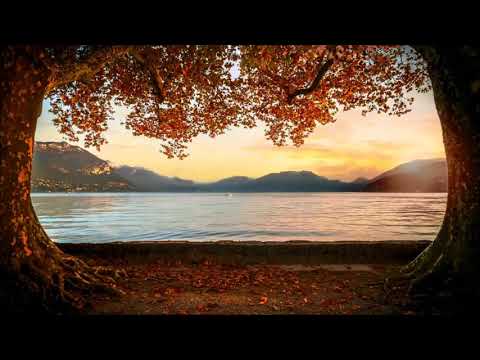 Cemal Süreya - Balzamin