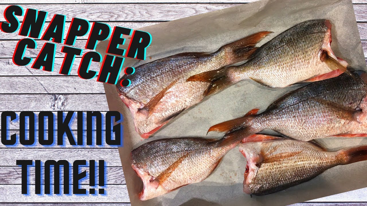 Snapper Catch and Cook | Port Phillip Bay Snapper - Ricketts Point ...