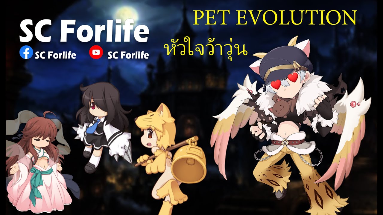 RO GGT: สัตว์เลี้ยงใหม่ น้องๆ น่ารักเลี้ยงยังไงดี - YouTube