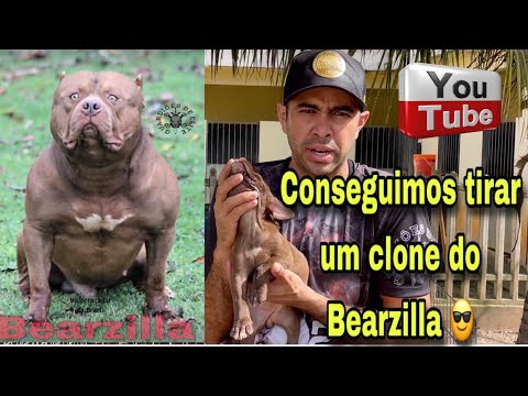 Mais de 15 netos do Bearzilla juntos confiram 😱😱😱 - YouTube