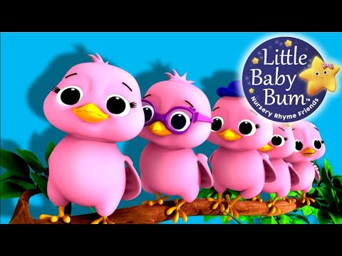 Five Little Sparrows | Nursery Rhymes & Kids Songs | Nursery Rhymes ...