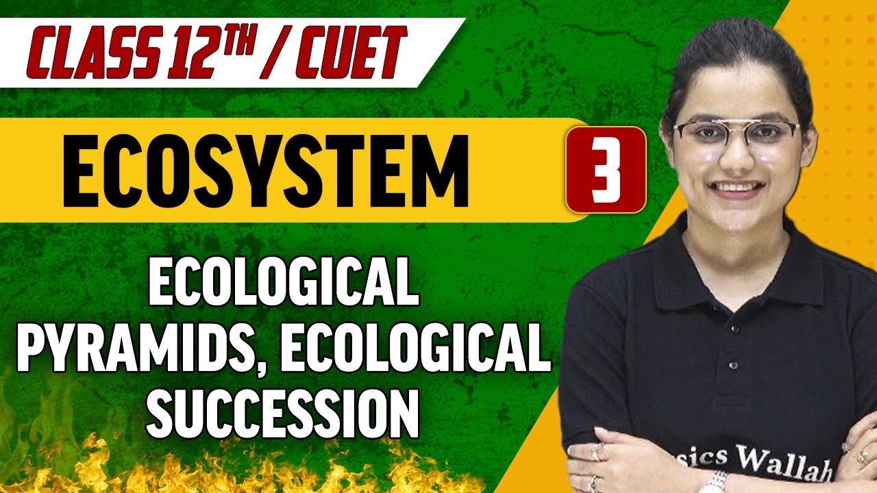 Ecosystem 03 | Ecological Pyramids, Ecological Succession | Class 12th ...